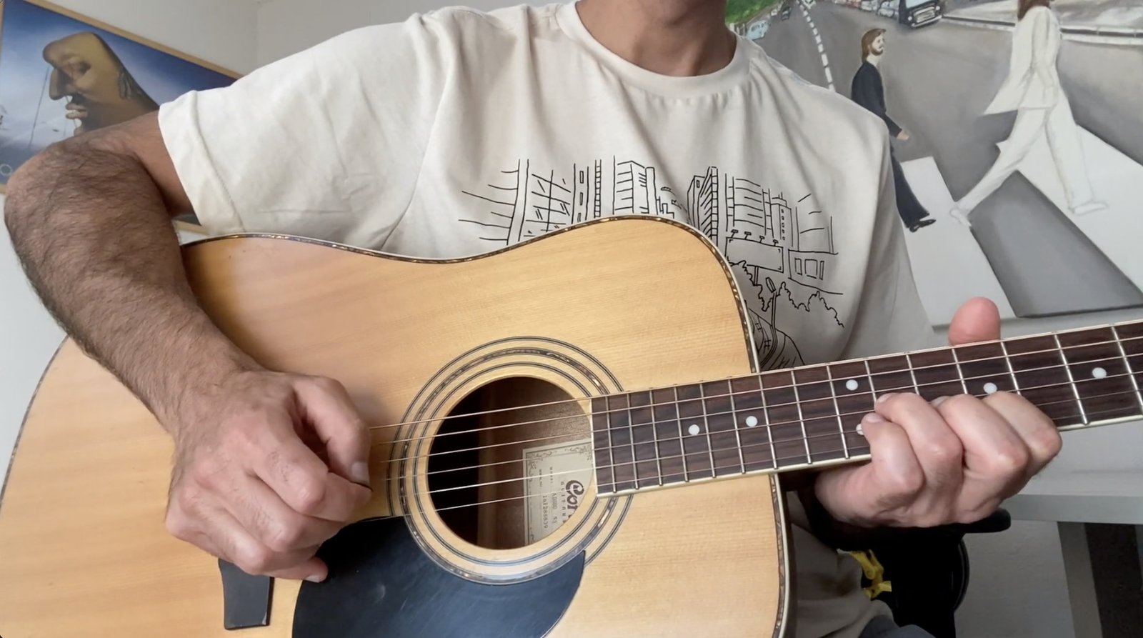 Counting Stars - OneRepublic - Yuval and Guitar