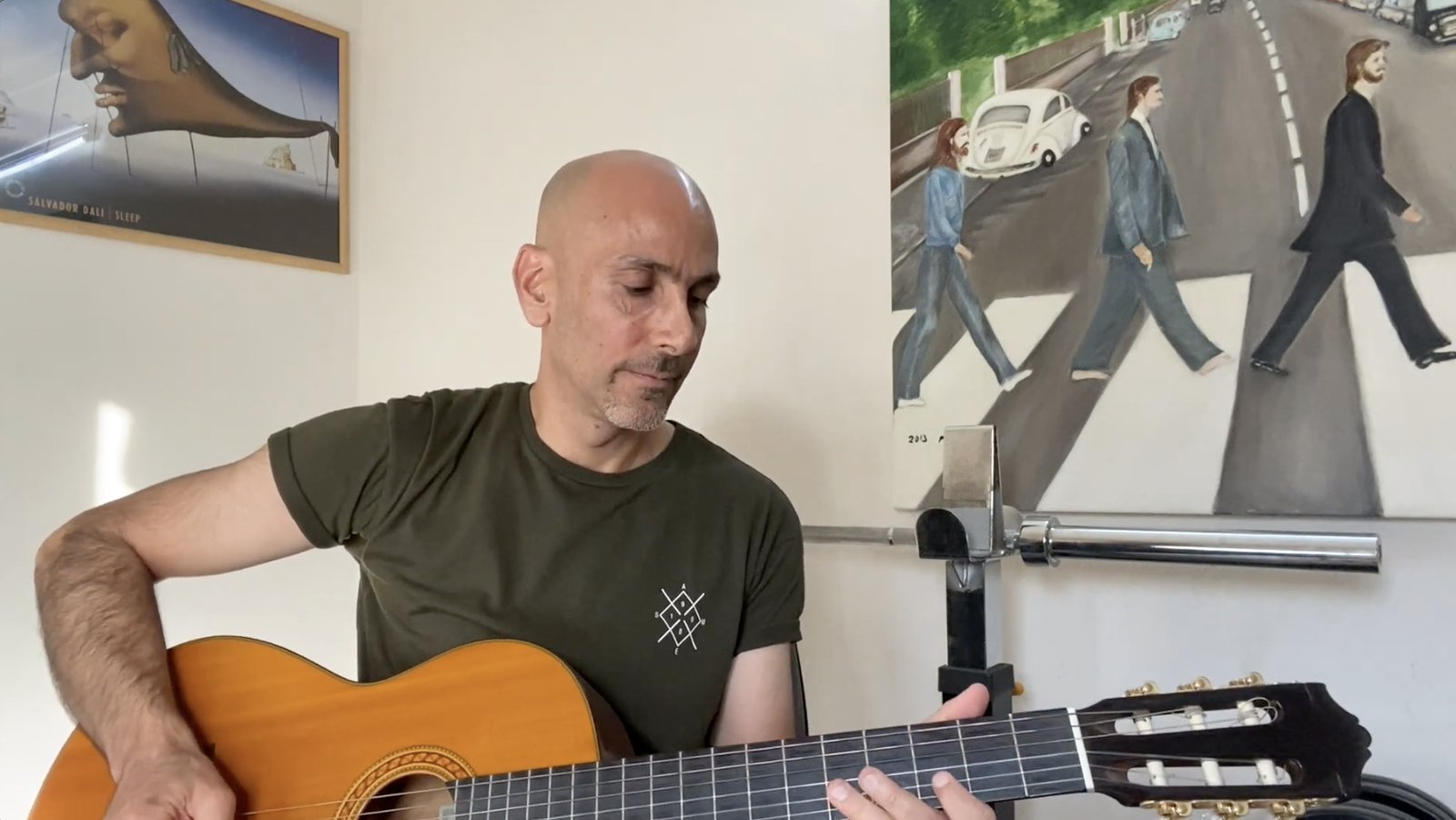 Wild Horses - The Rolling Stones - Yuval and Guitar